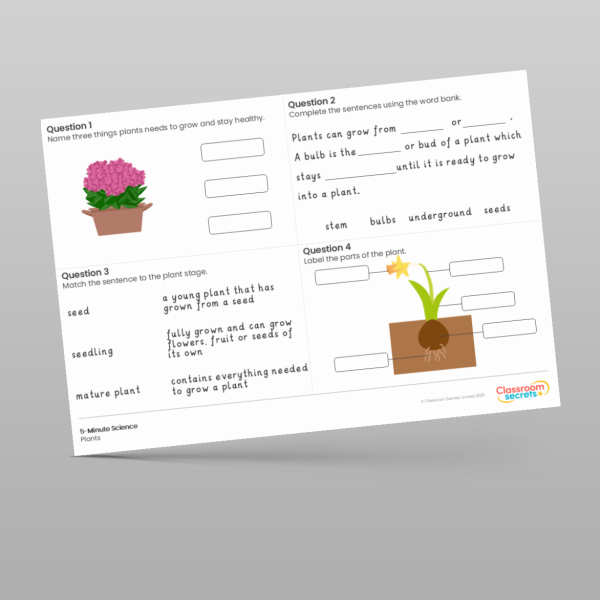 Year 2 Plants 5 Minute Science Resource | Classroom Secrets