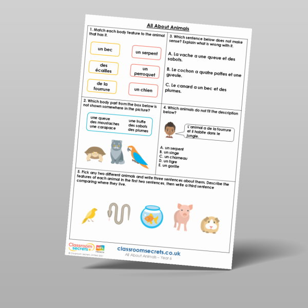 Year 6 Animals Main Activity Resource | Classroom Secrets