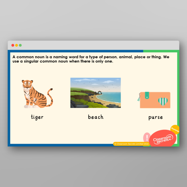 Year 1 Plural Nouns Teaching Ppt Resource | Classroom Secrets