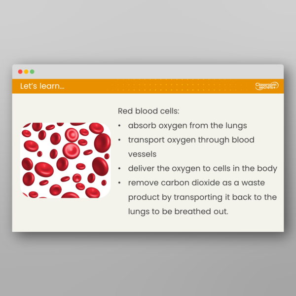 Year 6 What Role Does Blood Have In The Body Lesson Resource ...