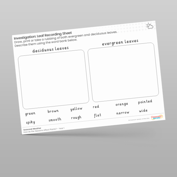 Year 1 Lesson 3 Leaf Recording Activity Worksheet Resource | Classroom ...