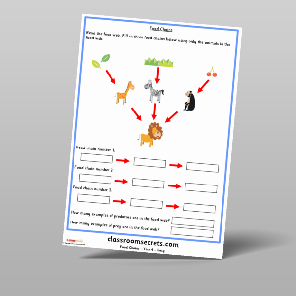 Year 4 Food Chains Activity Resource | Classroom Secrets