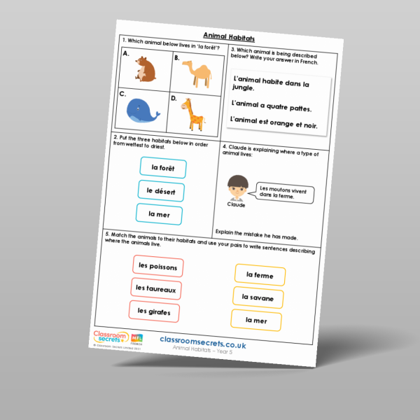 Year 5 Animals Habitats Main Activity Resource | Classroom Secrets
