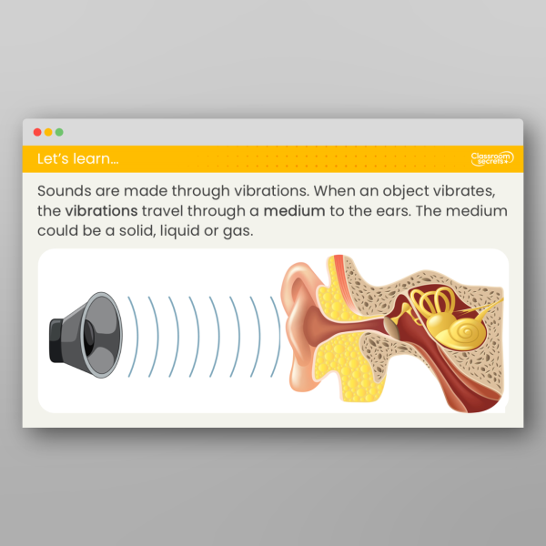 Year 4 How Do We Hear Sounds Investigation Lesson Resource | Classroom ...