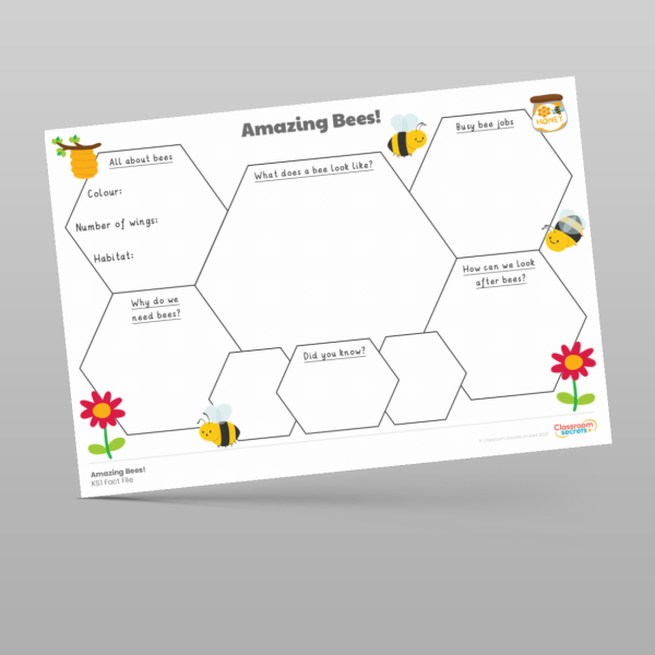 KS1 Amazing Bees Fact File Resource | Classroom Secrets