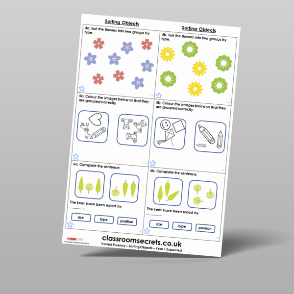 Year 1 Sort Objects Varied Fluency Resource | Classroom Secrets