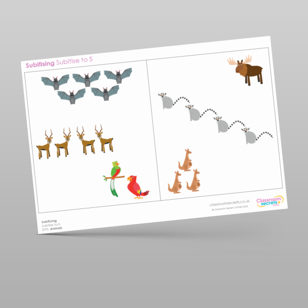 Eyfs Subitising Cards Resource | Classroom Secrets
