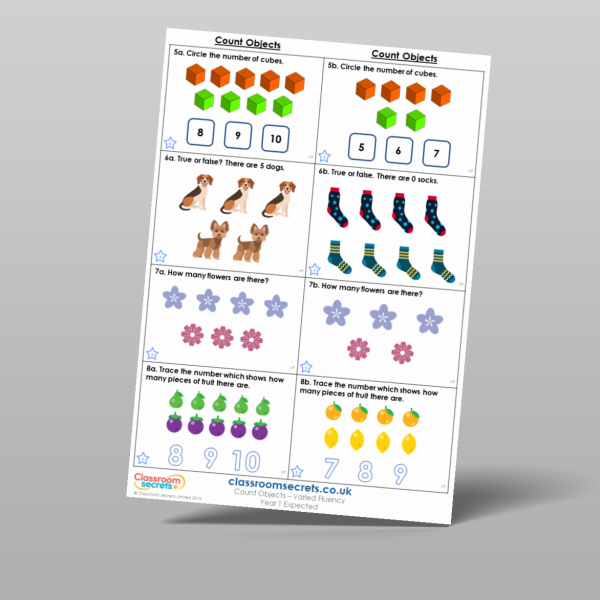 Year 1 Count Objects Varied Fluency Resource | Classroom Secrets
