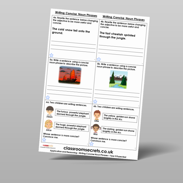 Year 5 Writing Concise Noun Phrases Application And Reasoning Resource ...