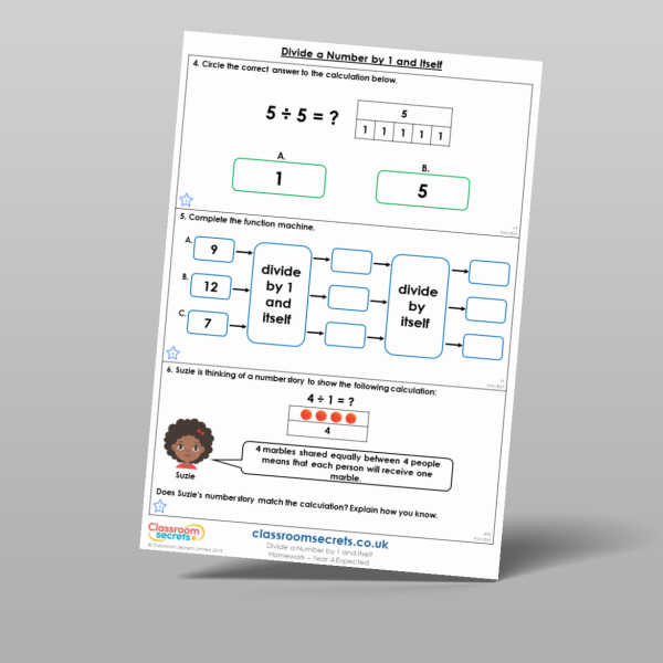 Year 4 Divide A Number By 1 And Itself Homework Resource | Classroom ...