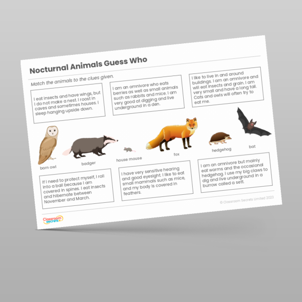 LKS2 Nocturnal Animals Guess Who Resource | Classroom Secrets