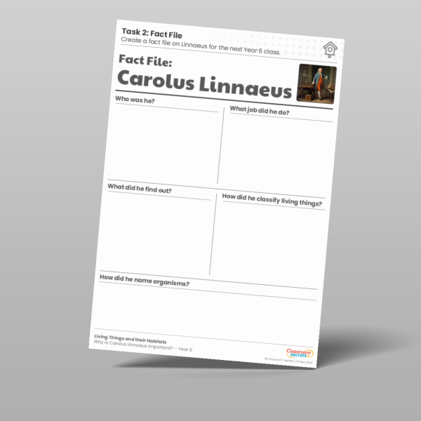 Year 6 Carolus Linnaeus Fact File Worksheet Resource | Classroom Secrets