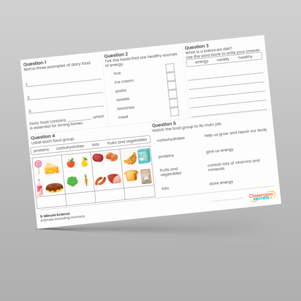 Year 3 Animals Including Humans 5 Minute Science Resource | Classroom ...