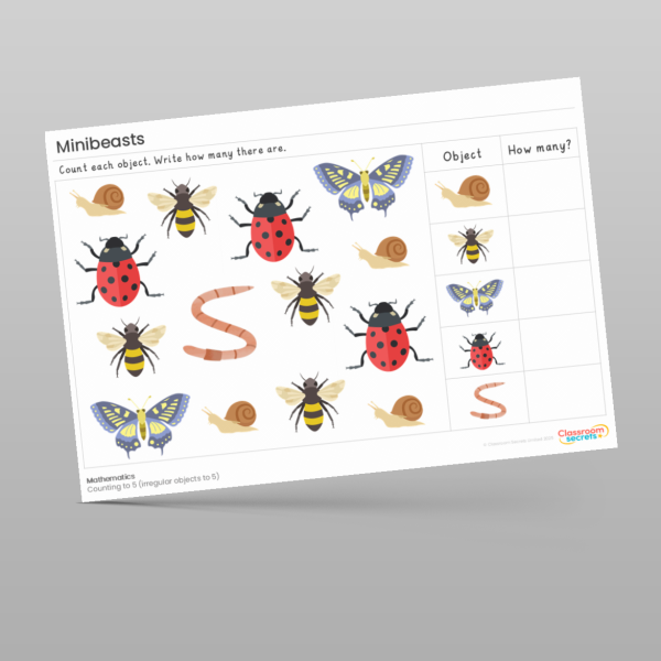 Eyfs Minibeasts Maths Activities Resource | Classroom Secrets