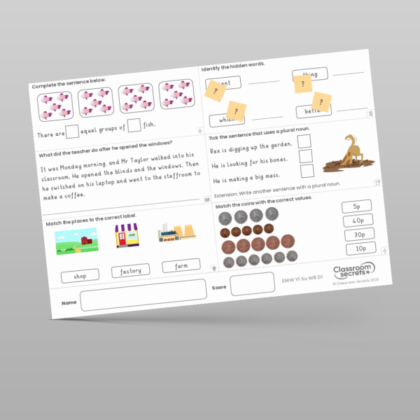 Year 1 Early Morning Work Summer Week 8 Resource | Classroom Secrets