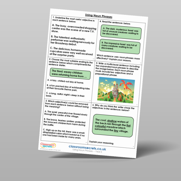 Year 5 Using Noun Phrases Mixed Activity Resource | Classroom Secrets