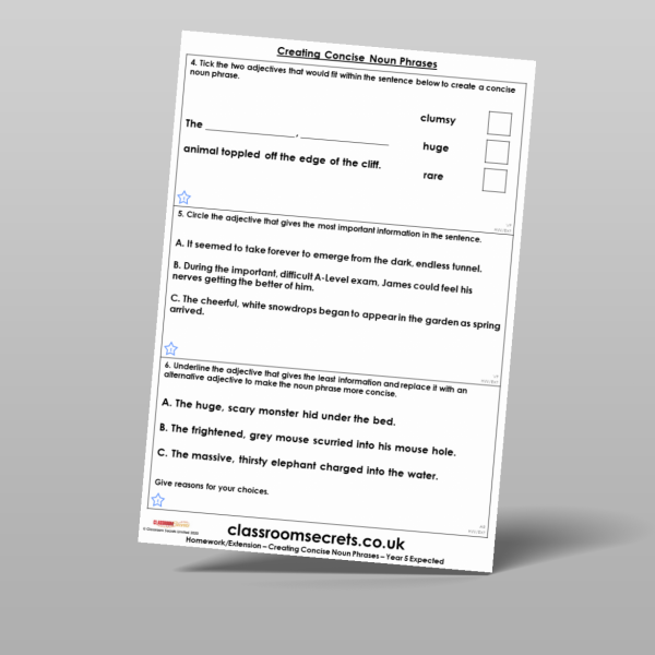 Year 5 Creating Concise Noun Phrases Homework Resource | Classroom Secrets