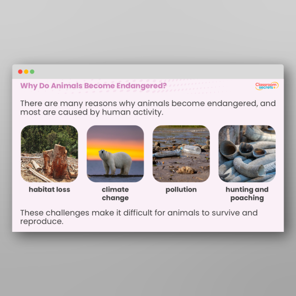 KS2 Endangered Animals Success Stories Whole School Assembly Resource ...