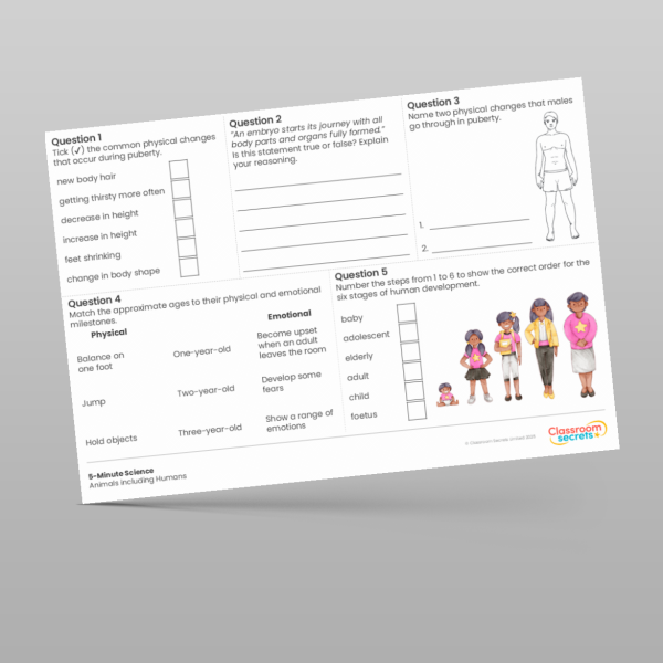 Year 5 Animals Including Humans 5 Minute Science Resource | Classroom ...
