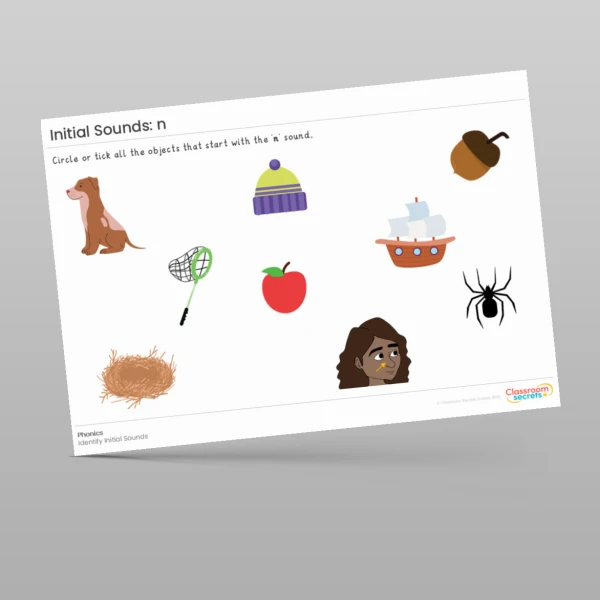 Eyfs Initial Sounds Worksheet N Resource | Classroom Secrets