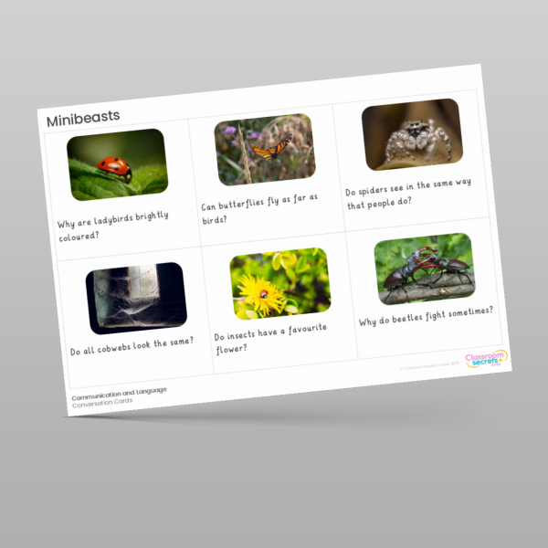 Eyfs Minibeasts Conversation Cards Resource | Classroom Secrets