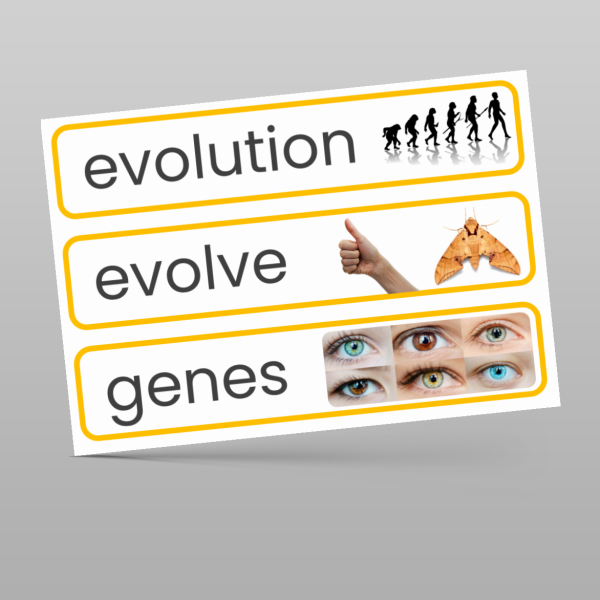 Year 6 Evolution And Inheritance Display Pack Resource | Classroom Secrets