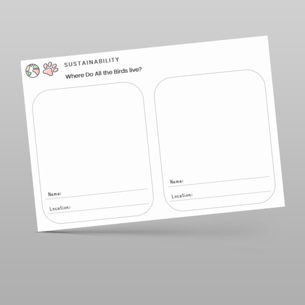 Year 1 Bird Fact File Worksheet Resource | Classroom Secrets