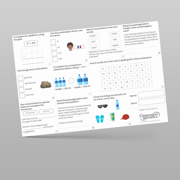 Year 3 Early Morning Work Summer Week 12 Resource | Classroom Secrets