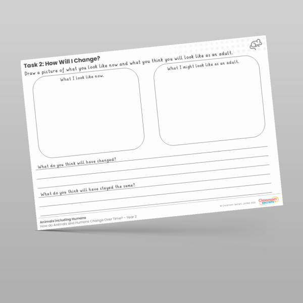 Year 2 How Will I Change Worksheet Resource | Classroom Secrets