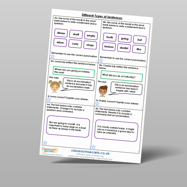 Year 3 Different Types Of Sentences Application And Reasoning Resource ...