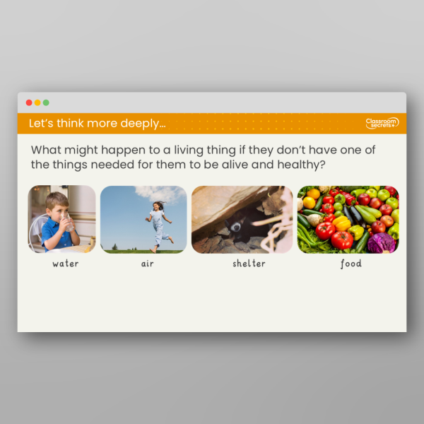 Year 2 Is It Living Dead Or Never Alive Lesson Resource | Classroom Secrets