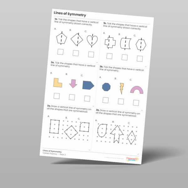 Year 2 Lines Of Symmetry Varied Fluency Resource | Classroom Secrets
