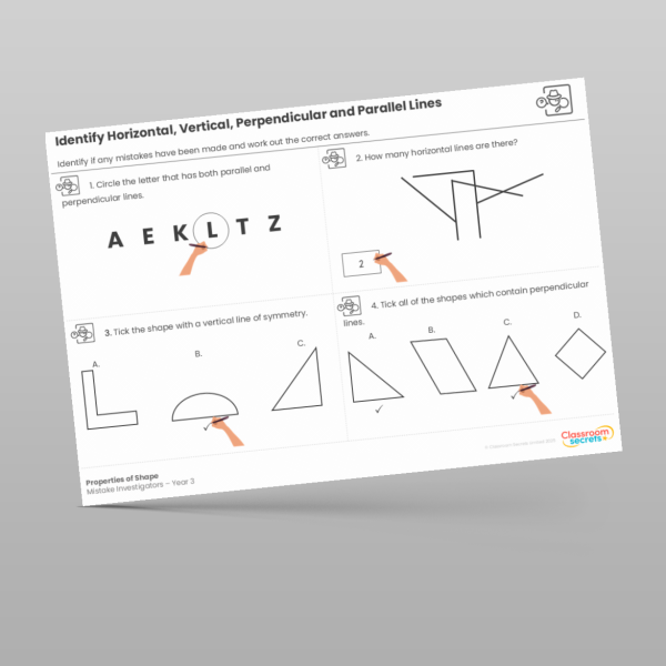 Year 3 Properties Of Shape Mistake Investigators Resource | Classroom ...