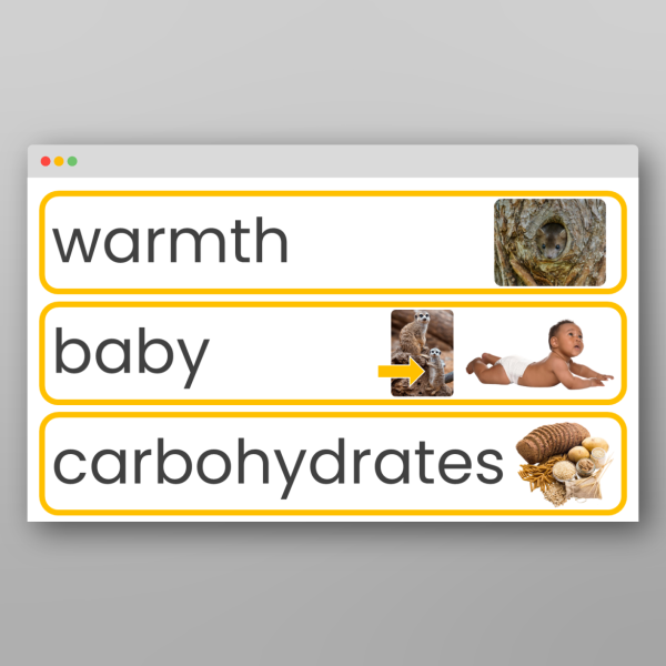 Year 2 Animals Including Humans Display Pack Resource | Classroom Secrets