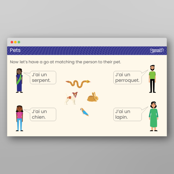 Year 3 Pets Teaching Ppt Resource | Classroom Secrets