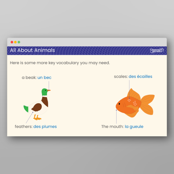 Year 6 All About Animals Teaching Ppt Resource | Classroom Secrets