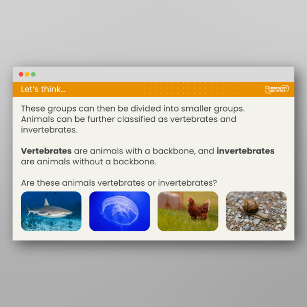 Year 6 Why Is Classification Important Lesson Resource | Classroom Secrets