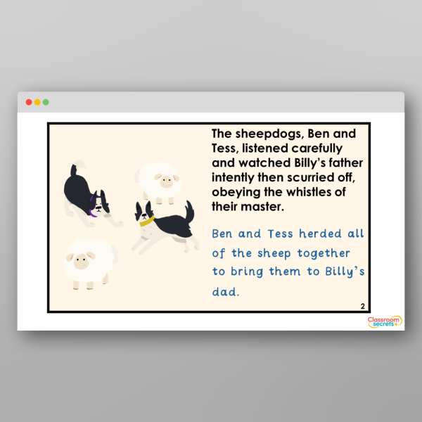 KS1 Fleet Guided Reading Activity Resource | Classroom Secrets