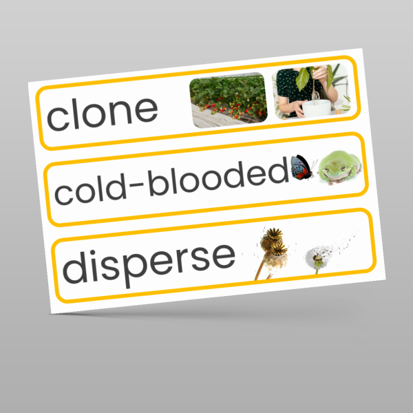 Year 5 Living Things And Their Habitats Display Pack Resource ...