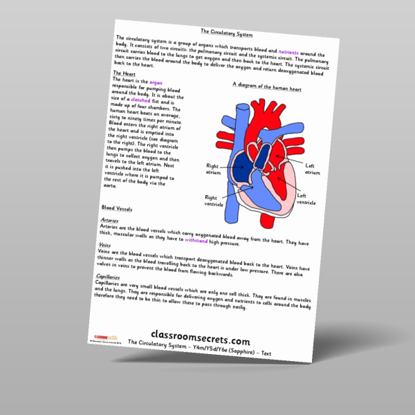 KS2 The Circulatory System Sapphire Guided Reading Pack Resource ...