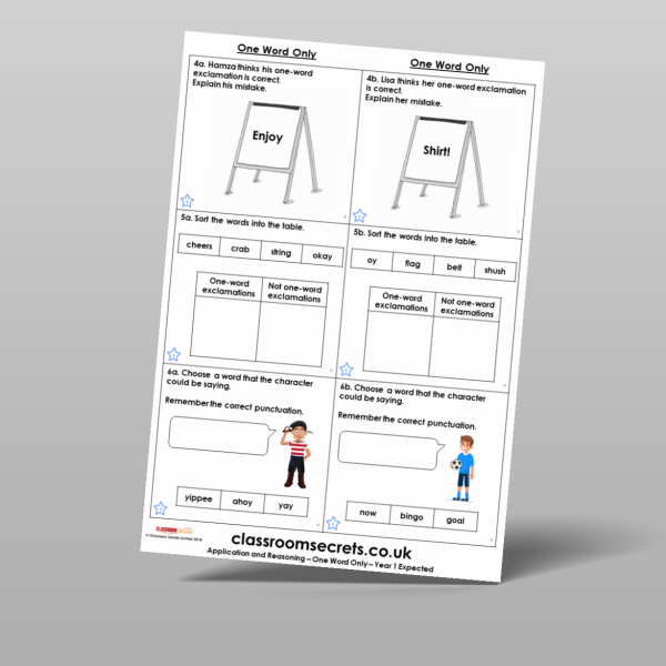Year 1 One Word Only Application And Reasoning Resource | Classroom Secrets