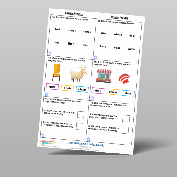 Year 1 Single Nouns Varied Fluency Resource | Classroom Secrets