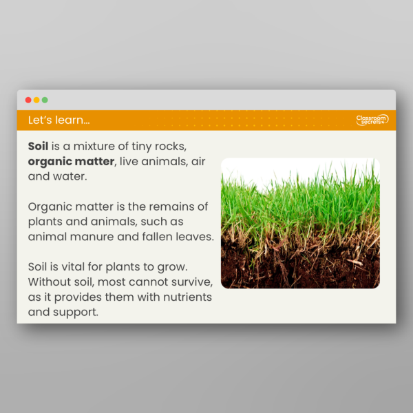 Year 3 What Is Soil Lesson Resource | Classroom Secrets