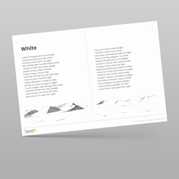 Year 5 Reading Skills White Resource | Classroom Secrets