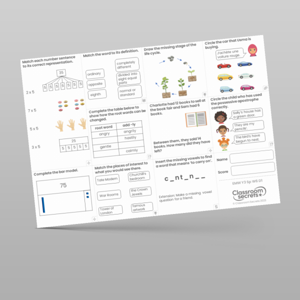 Year 3 Early Morning Work Spring Week 6 Resource | Classroom Secrets