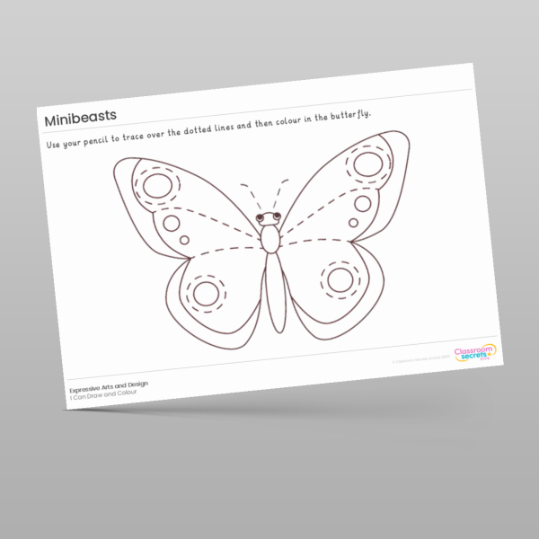 Eyfs Minibeasts I Can Draw And Colour Resource | Classroom Secrets