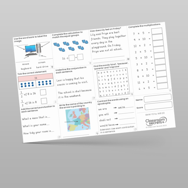 Year 2 Early Morning Work Summer Week 8 Resource | Classroom Secrets