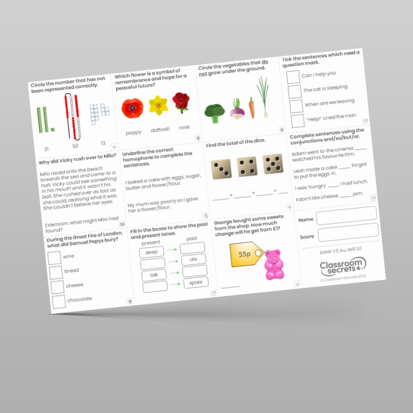 Year 3 Early Morning Work Autumn Week 8 Resource | Classroom Secrets