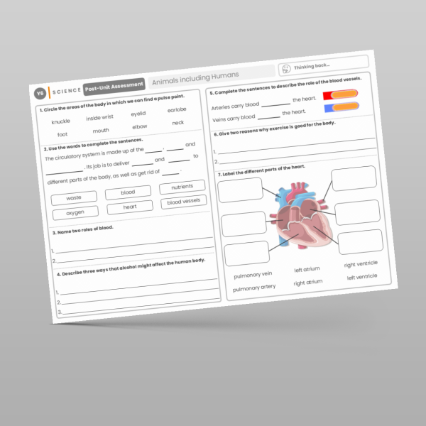 Year 6 Animals Including Humans Post Unit Assessment Resource ...