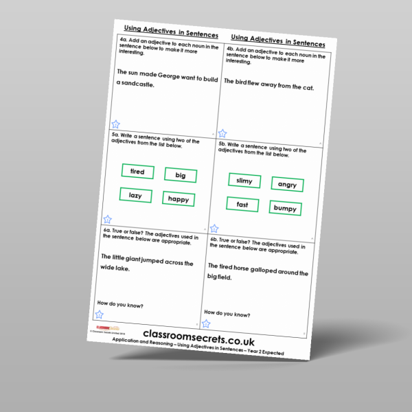 Year 2 Using Adjectives In Sentences Application And Reasoning Resource ...
